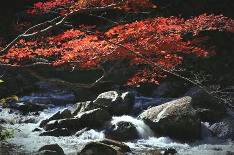 東白川村役場