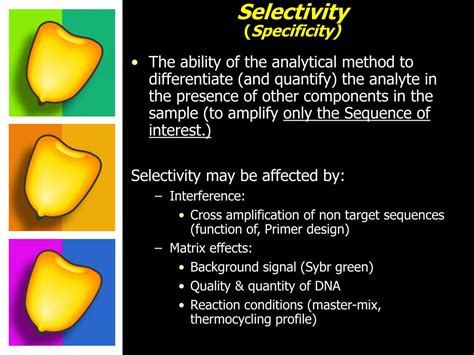 Ppt Validation Concept And Considerations Powerpoint Presentation