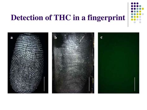Ppt Imaging Of Latent Fingerprints Through The Detection Of Drugs And Metabolites Powerpoint