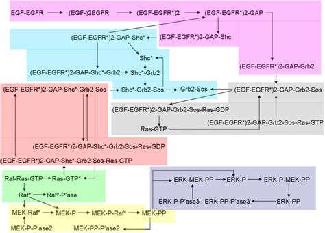 Decomposition Of The Egfr Mapk Pathway Model Into 7 Functional Blocks