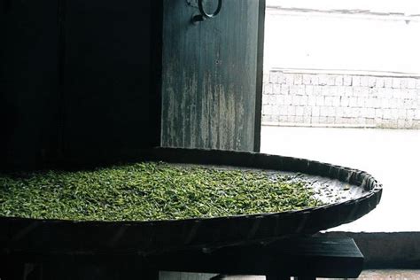 History Of Green Tea Pan Fired Loose Leaf Tea And The Ming Dynasty