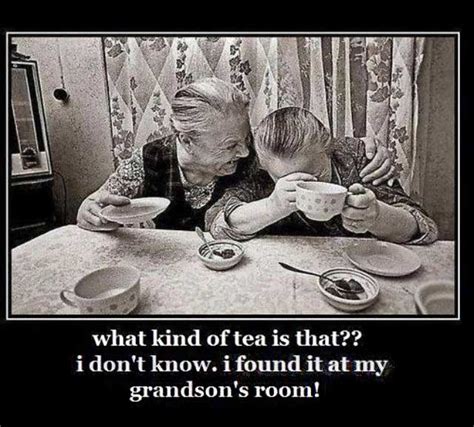 Funny Senior Citizen Sayings And Attitudes