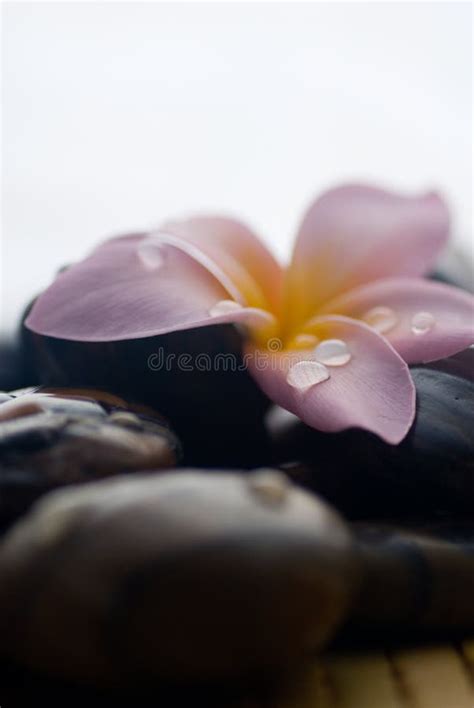 Polished Stone Cairn And Candles In Relaxation Spa Stock Image Image
