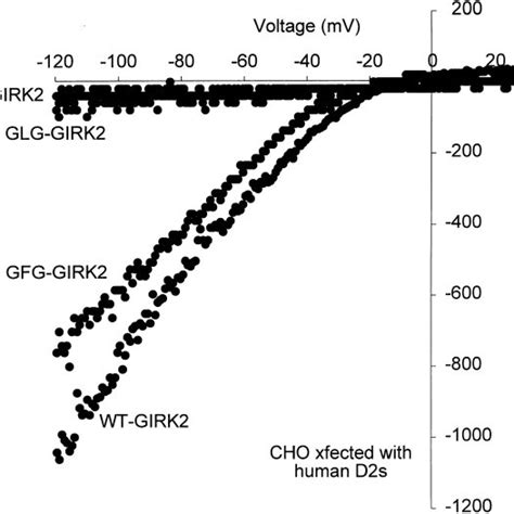 Wild Type And Mutant Egfp Tagged Human Girk2 Constructs Were Used In