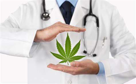 Medyczna marihuana w leczeniu nudności HolenderskiSkun