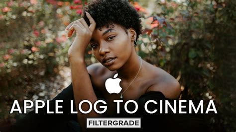 Iphone Luts Filtergrade