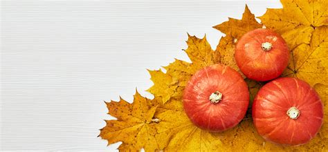 가 호박 추수 감사절 배경입니다 황금 단풍 잎에 호박이 있는 평면도 배너입니다 0명에 대한 스톡 사진 및 기타 이미지 0명 10월 11월 Istock