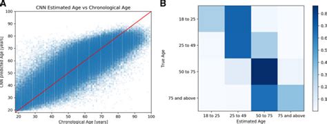 Age And Sex Estimation Using Artificial Intelligence From Standard 12 Lead Ecgs Pmc