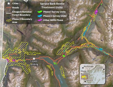 Tracy Christopherson Mba On Linkedin Forestservice
