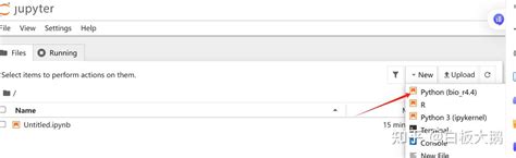 jupyter链接conda环境 知乎