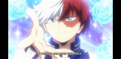 Get 26 Todoroki Shoto Cute Face