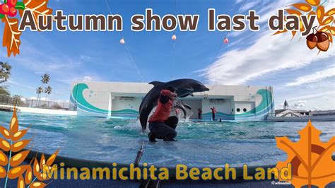 【dolphins 】last Day Of Autumn Show Minamichita Beach Land Youtube