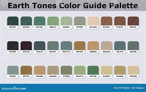 Earth Tones Color Palette Catalog Sample With Rgb Hex Codes In Isolated Groups Stock Vector