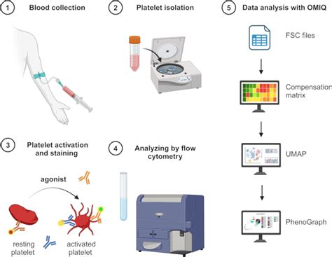 Video Analyzing Platelet Subpopulations By Multi Color Flow Cytometry