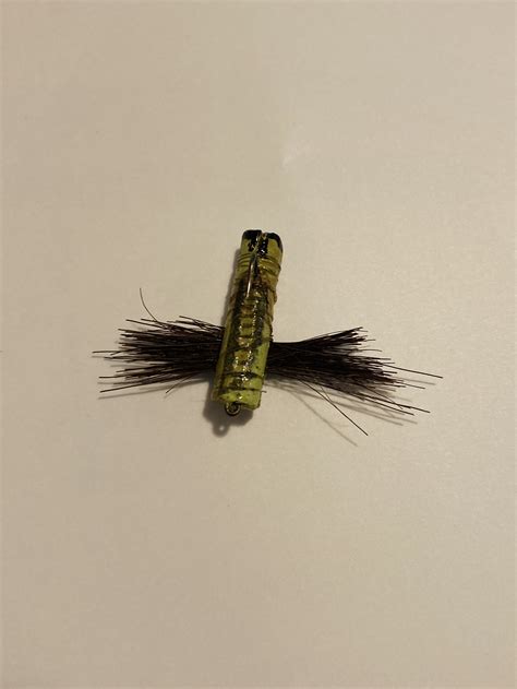 Bunyan Bug