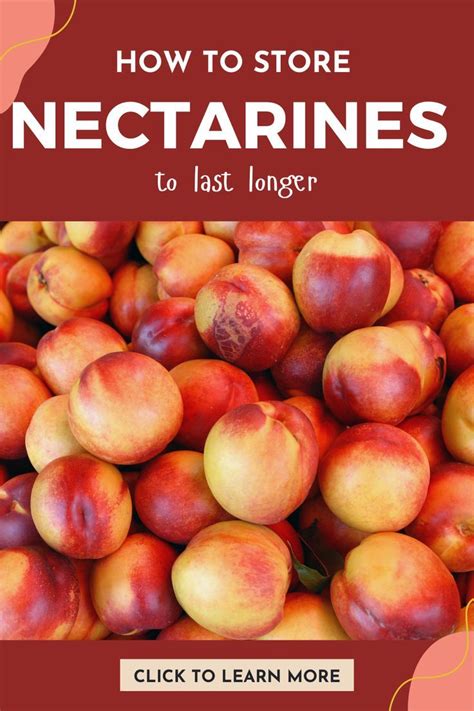 Nectarines 101 Nutrition Benefits How To Use Buy Store Nectarines A Complete Guide Fas