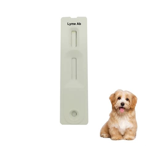 China Cheap Canine Lyme Disease Rapid Test Device Manufacturers