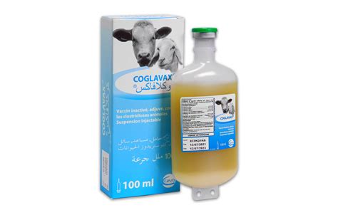 Coglavax Ceva Ruminants Global