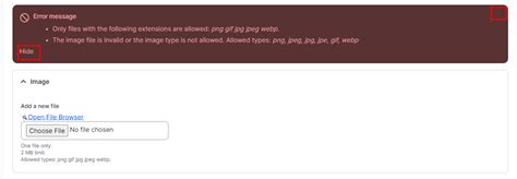 Incorrect Display Of Message When Validating Uploaded Files Using Gin