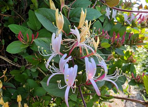 석주 오늘의 양식 어떻게 전할 것인가 형제들아 내가 너희에게 나아가 하나님의 증거를 전할 때에 말과 지혜의 아름다운 것으로 아니하였나니 내가 너희 중에서 예수