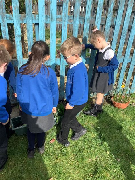 Westbury Infant School And Resource Base Scientists