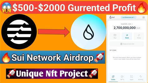 Get Instant Airdrop Sui Nft Project Sui Network Testnet New Crypto Loot Today YouTube