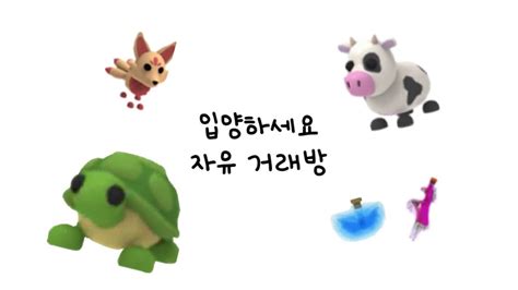입양하세요 자유 거래방 Youtube
