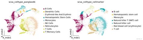 3基于python的scrna Seq细胞类型注释 自动注释scsa注释 Csdn博客