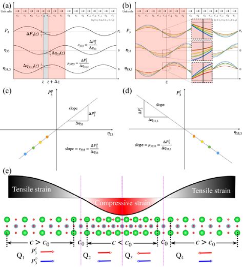 The Schematic Of Our Proposed Method A The Local Polarization Download Scientific Diagram