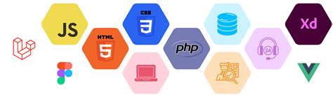 Cels Technology International