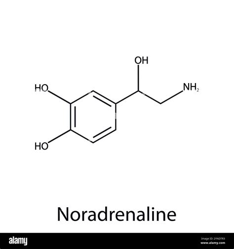 Chemical Structure Of Norepinephrine Organic Chemistry Vector Stock