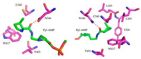 Molecules Free Full Text Expanding The Scope Of Orthogonal