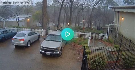 Lightning V Tree  On Imgur