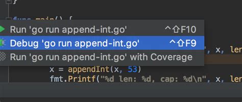 gogland 1 0 eap complains about go run on debug ides support