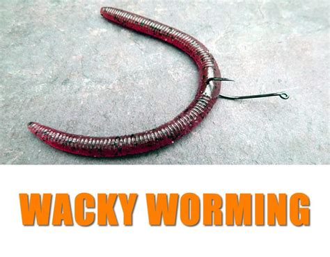 Wacky Rig Archives Bass Fishing Videos And Tips Bassin Usa