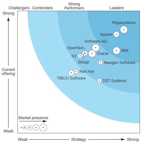 Libro Blanco Sobre Bpm Gestión Por Procesos The Forrester Wavetm