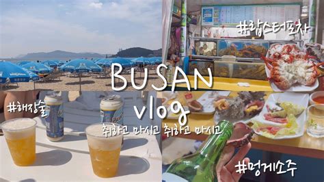 Vlogㅣ해운대에서 취마취마 취하고 마시는 영상 일상 랍스터포차 가격 해운대 힙스터 기와집대구탕 포토드링크 Youtube