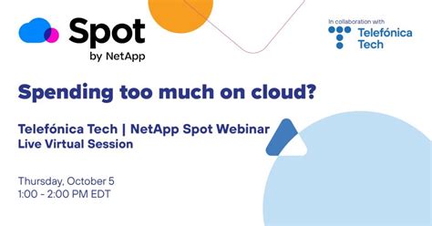 Spotbynetapp Cloudcostoptimization Spot