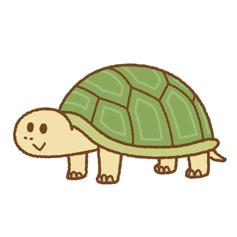カメのイラスト 商用okの無料イラスト素材サイト ツカッテ