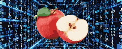 Coredata And Data Persistence In Ios Codementor