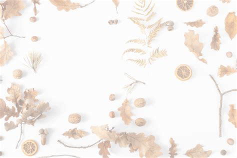 Leave Background Opacity