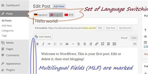 Wordpress Multilingual Websites Are Ideal For Expanding Business