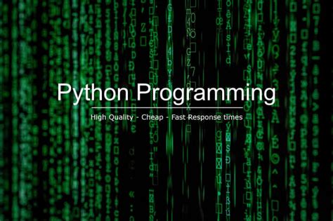 Code Anything In Python By Minejerik Fiverr