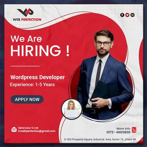 web perfection technology on linkedin wordpress backend developer