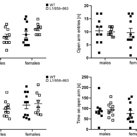 Mutant And Wt Mice Do Not Show Differences In Anxiety States In The