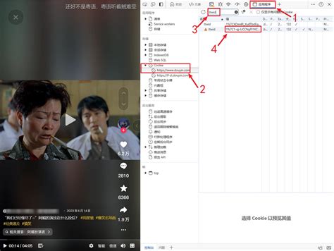使用极空间docker部署抖音小姐姐的收集神器『tiktokweb』 哔哩哔哩 使用极空间docker部署抖音小姐姐的收集神器『tiktokweb』 哔哩哔哩