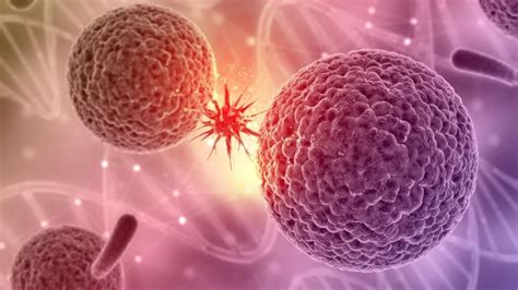 Candida Auris From Symptoms To Prevention All About The Deadly Fungal
