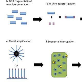 A General Description Of The Workflow Common To Next Generation Download Scientific Diagram