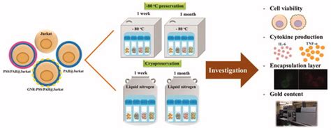 Article Collection Encapsulation And Controlled Release