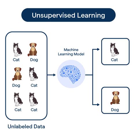 unsupervised learning types and challenges botpenguin